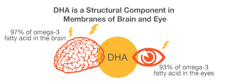 补充DHA你被套路了吗？娃的大脑发育巅峰DHA说了算？ | 多伦多妈妈部落